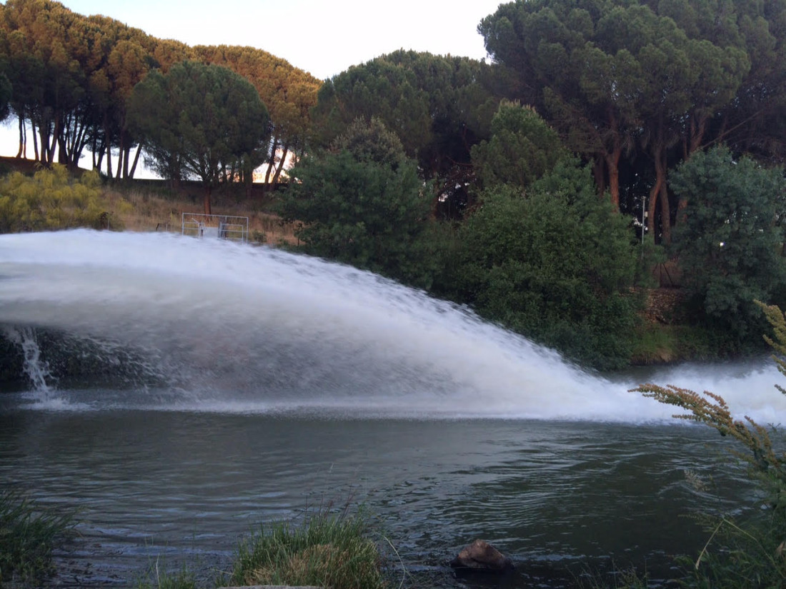 Ruta por la senda botánica en El Pardo junto al río Manzanares (Madrid)