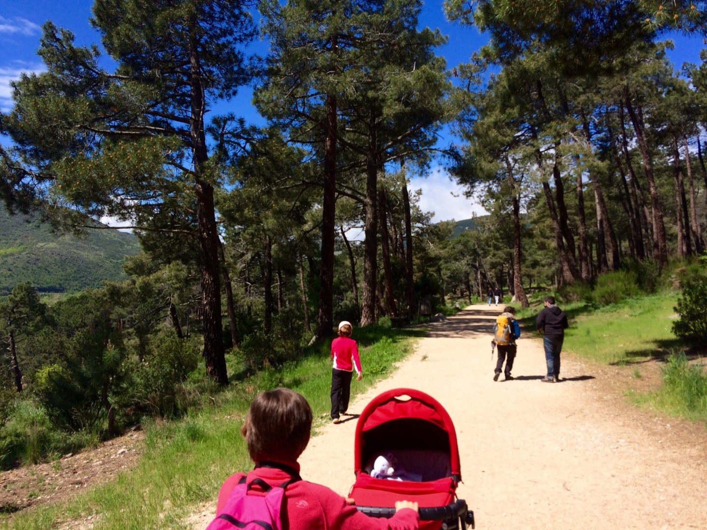 Ruta La Horizontal: fácil y perfecta para ir con carritos en El ...